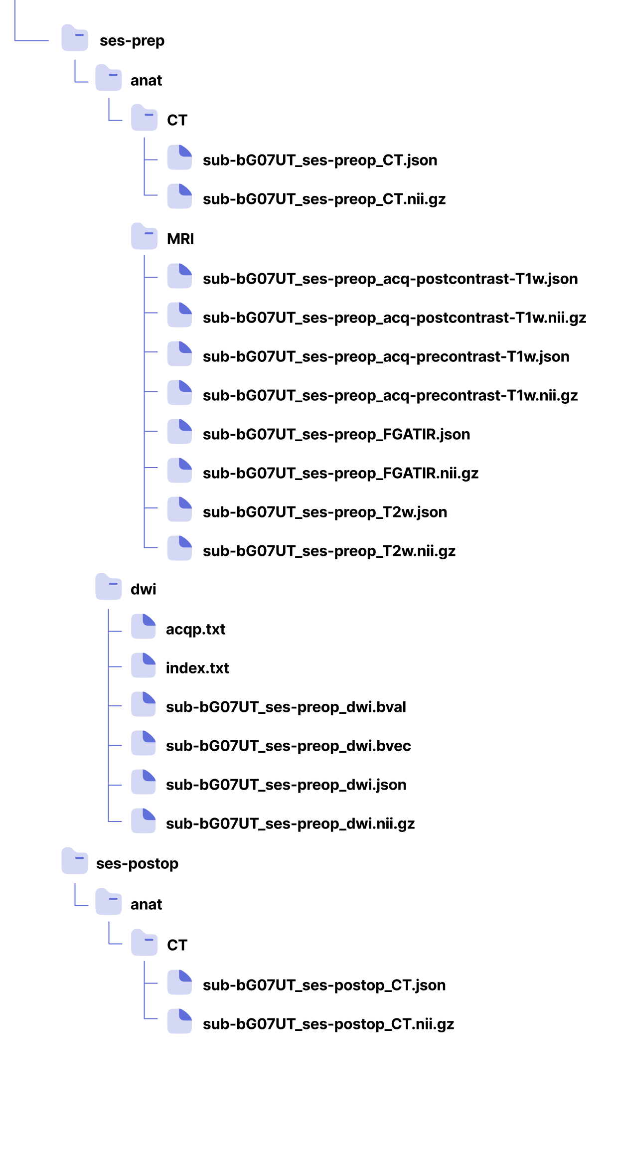 Figure 2. Schematic of Pre- and Post-Operative Imaging Directories ...
