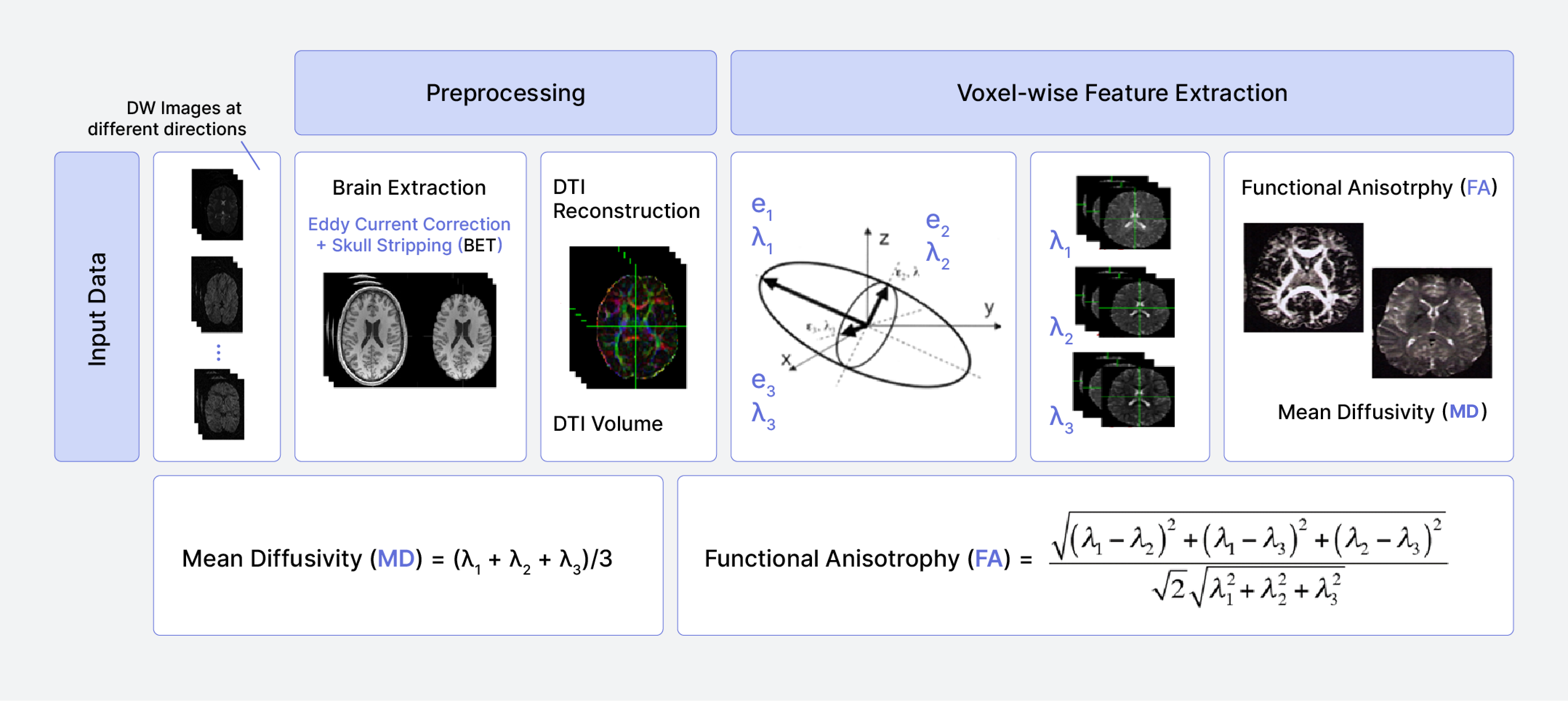 Figure 3. The pipeline of DWI data analysis